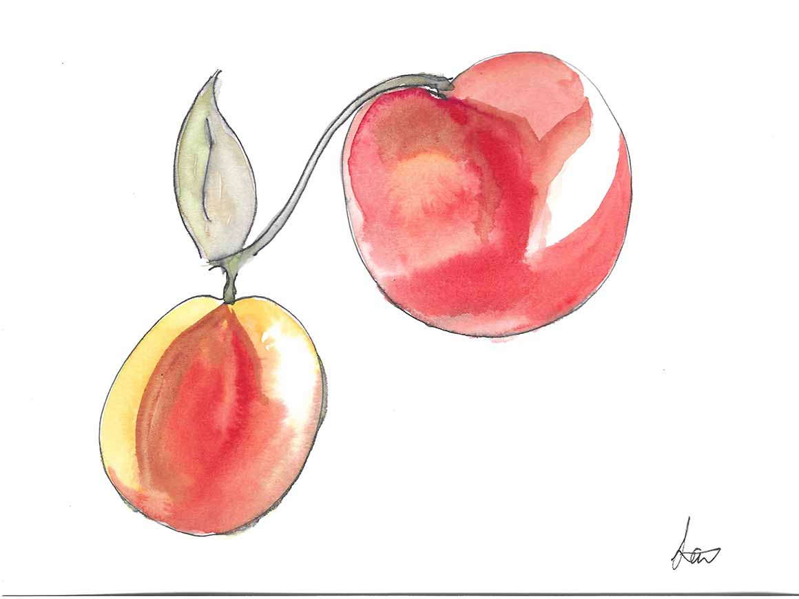 SELDN Writers Group – A creative writing group based in South East London